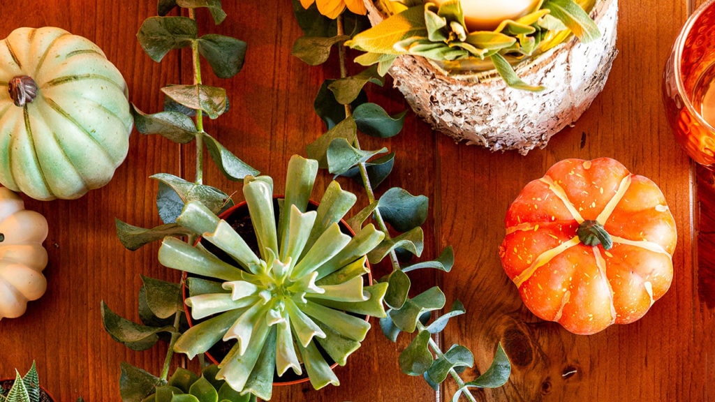 4 Recipes for the Ultimate Fall Cooking Weekend - Just Cook by ButcherBox