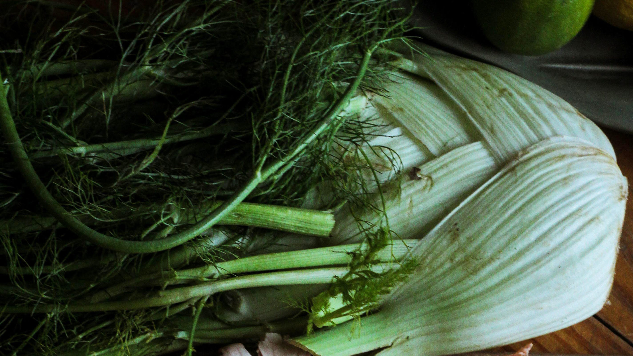 A Quick Guide to Fennel - A Plant Perfect for Experimenting with Flavor ...